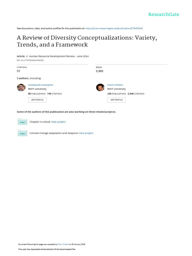 Diversity Conceptualizations Review | PDF | Discrimination | Gender