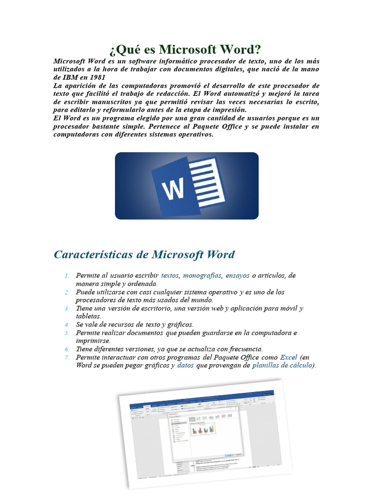 Qué Es Microsoft Word | PDF