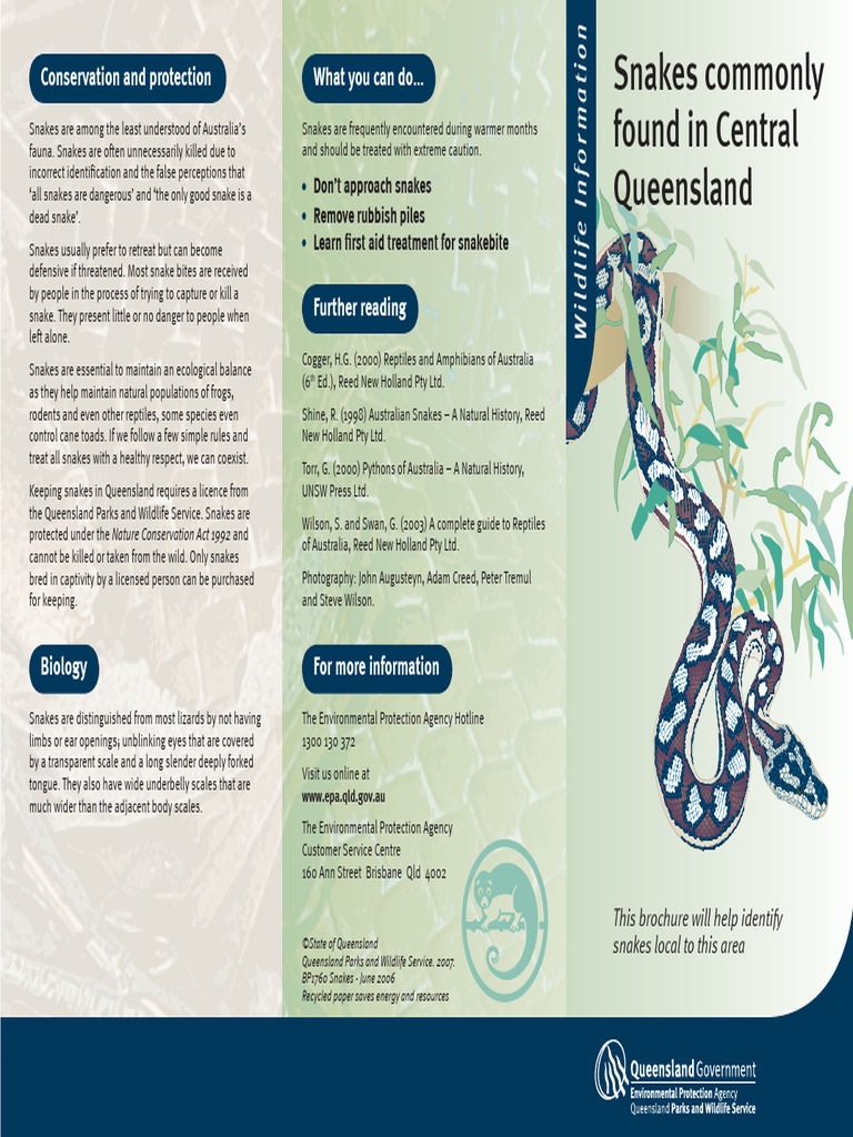 Central Queensland Snake Guide | PDF | Snake | Zoology