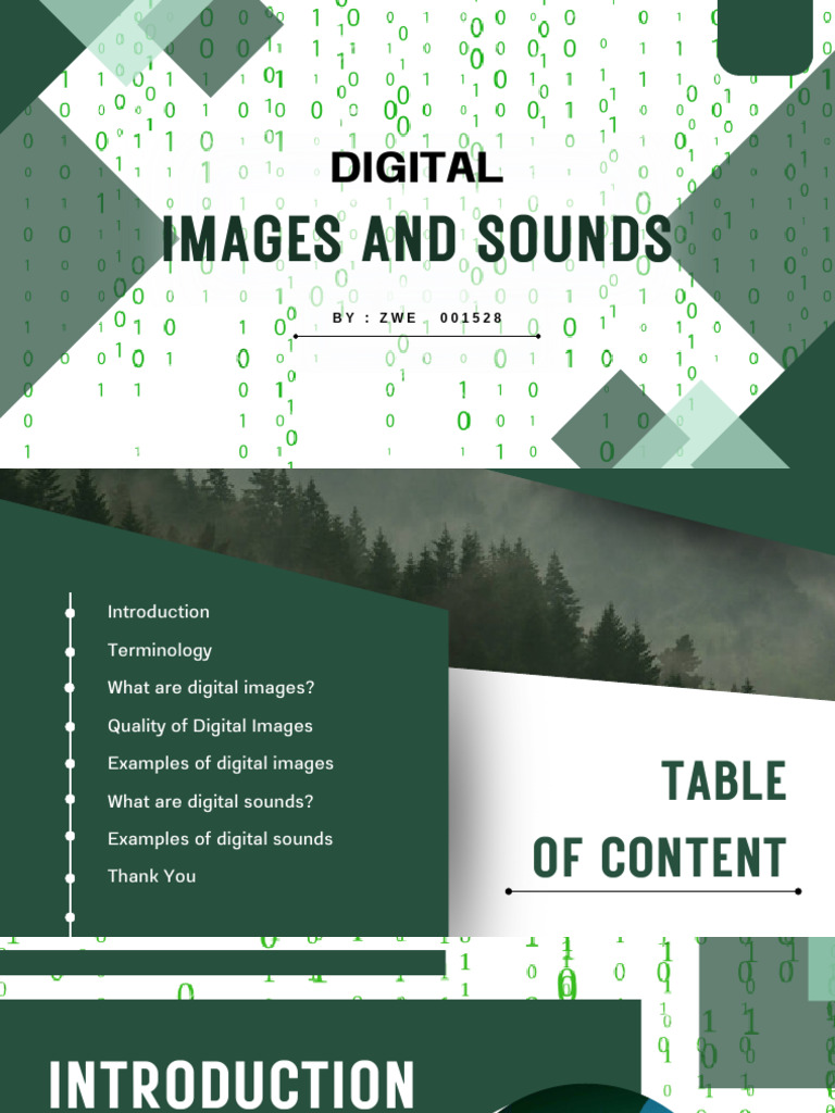 Digital Images and Sounds Overview | PDF | Digital Audio | Digital Image