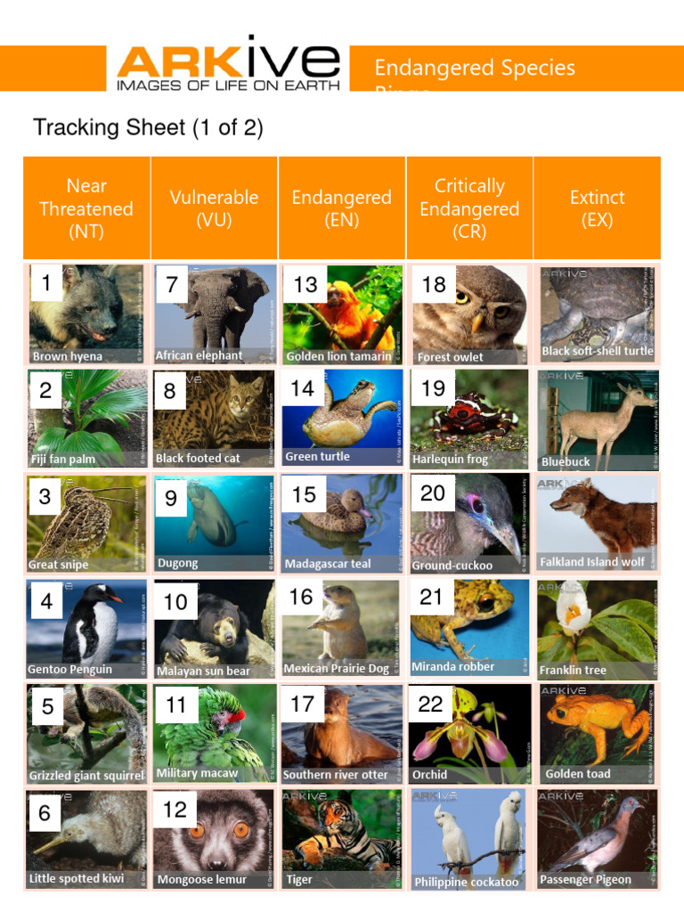 Endangered Species | PDF | Endangered Species | Biodiversity