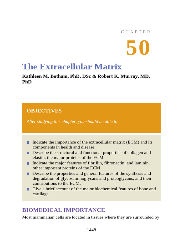 Harper Biochemistry 31st Ed-1448-1490 | PDF | Extracellular Matrix | Collagen