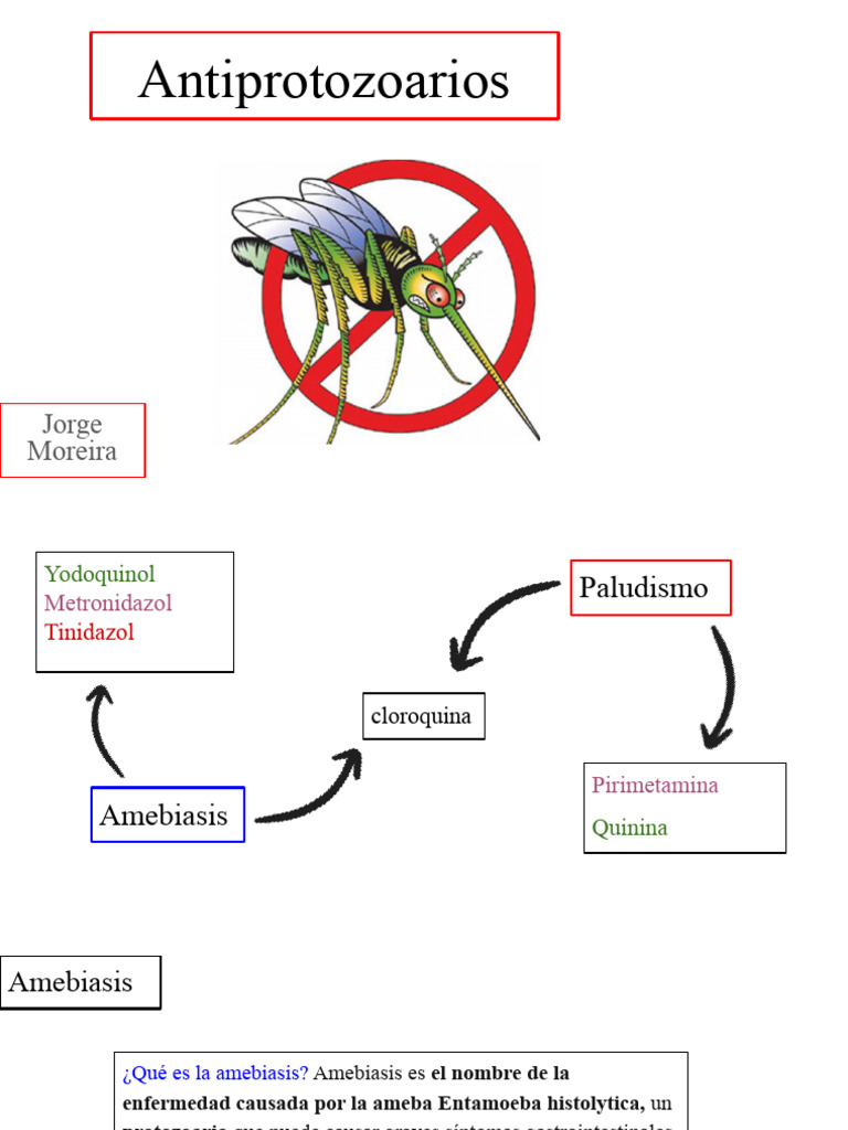 Antiprotozoarios 1 | PDF | Malaria | Medicina CLINICA