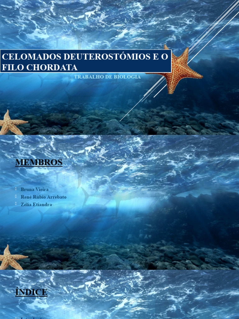 Celomados Deuterostomios e o Filo Chordata | PDF | Vertebrados | Peixes