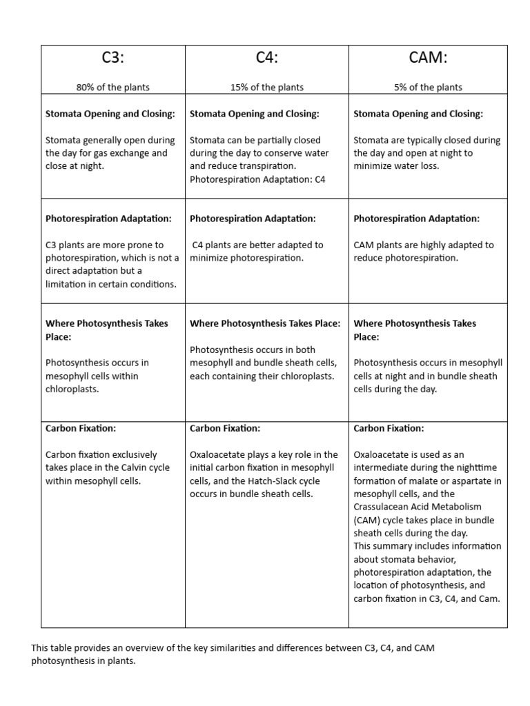 C3 C4 CAM Plants Sim and Diff | PDF | Photosynthesis | Stoma