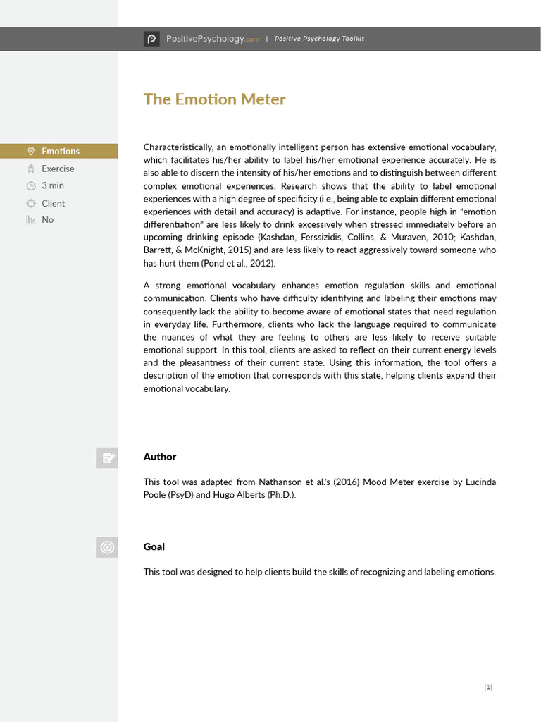 The Emotion Meter | PDF | Emotions | Experience