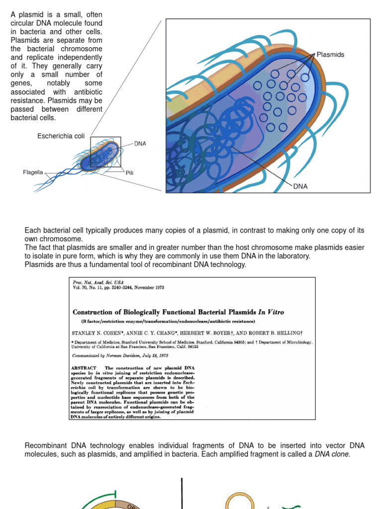 Molecular Cloning and BioBrick Standard Assembly | PDF | Plasmid | Molecular Cloning