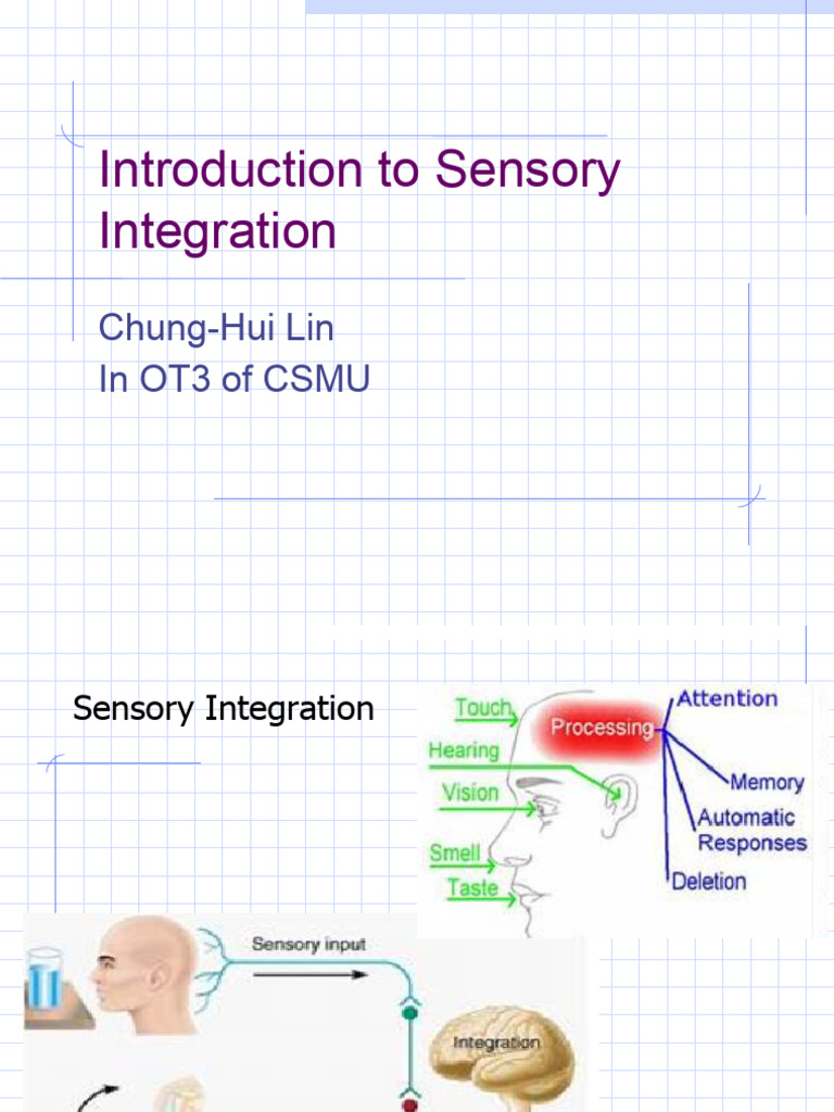 Introduction To SI | PDF | Sensory Processing Disorder | Senses