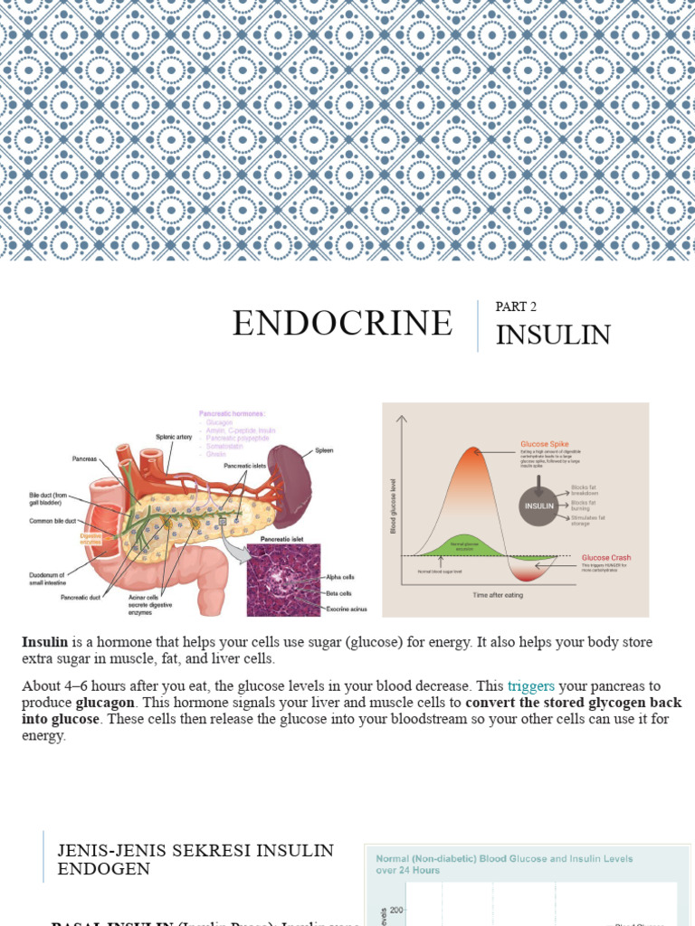 ENDOCRINE (Insulin) | PDF