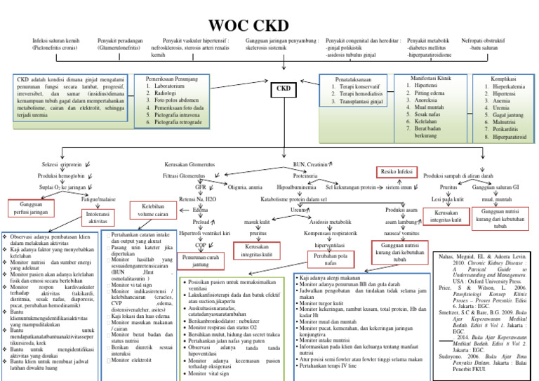 Woc CKD 051308-1 | PDF