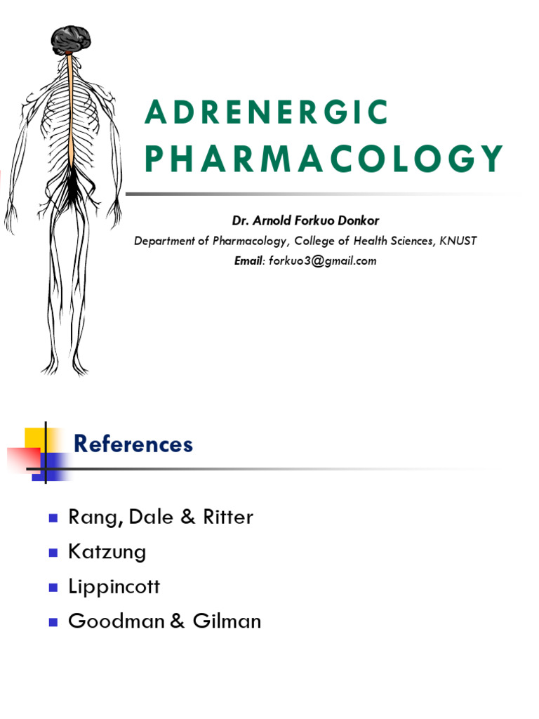 1-Adrenergic Pharmacology 2 | PDF | Norepinephrine | Autonomic Nervous System