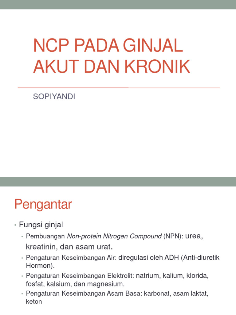 NCP PADA GINJAL Akut Dan KRONIK | PDF