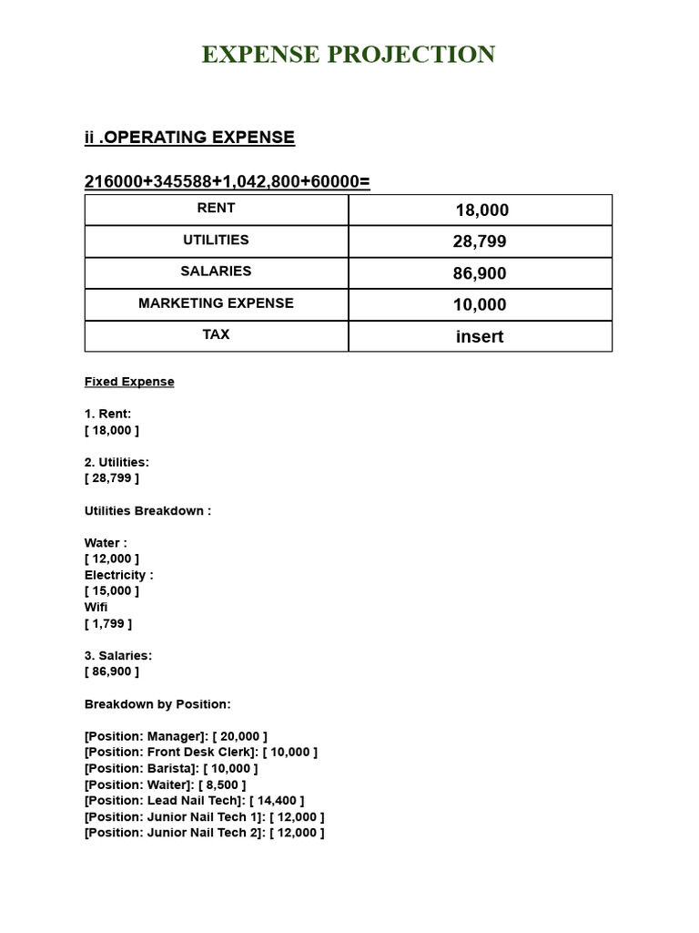 Detailed Expense Projection Breakdown | PDF | Nail (Anatomy) | Lawyer