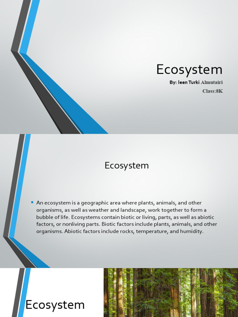 Ecosystem | PDF | Ecosystem | Ecology