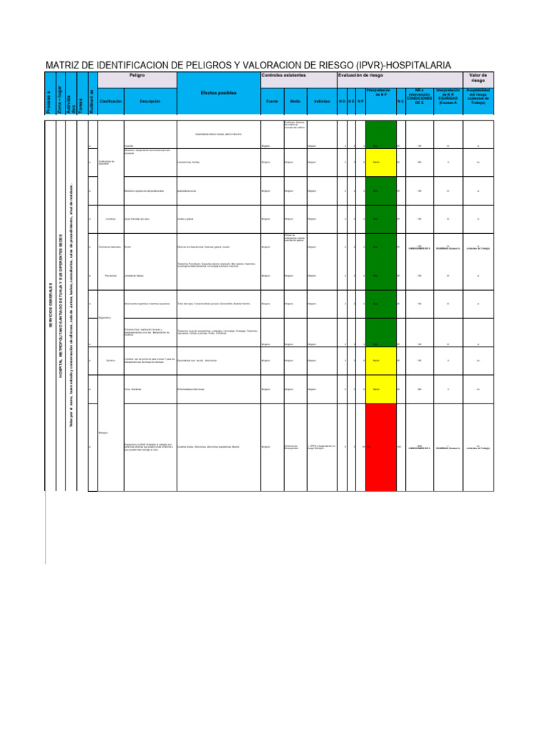 Matriz Ipvr 2024 | Descargar gratis PDF | Enfermedades y trastornos | Medicina CLINICA