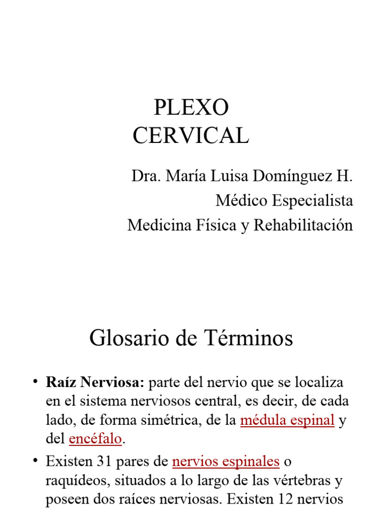 Glosario y Funciones del Plexo Cervical | PDF | Anatomía | Sistema ...