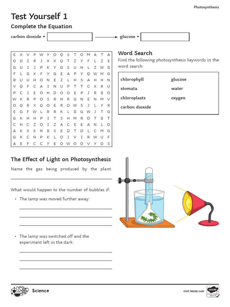 Photosynthesis Test Yourself 1 | PDF | Photosynthesis | Biochemistry