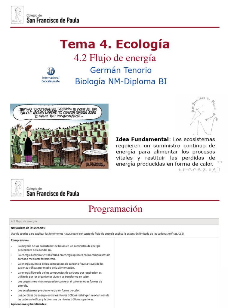 Flujo de energía en ecosistemas y cadenas tróficas | PDF | Red ...