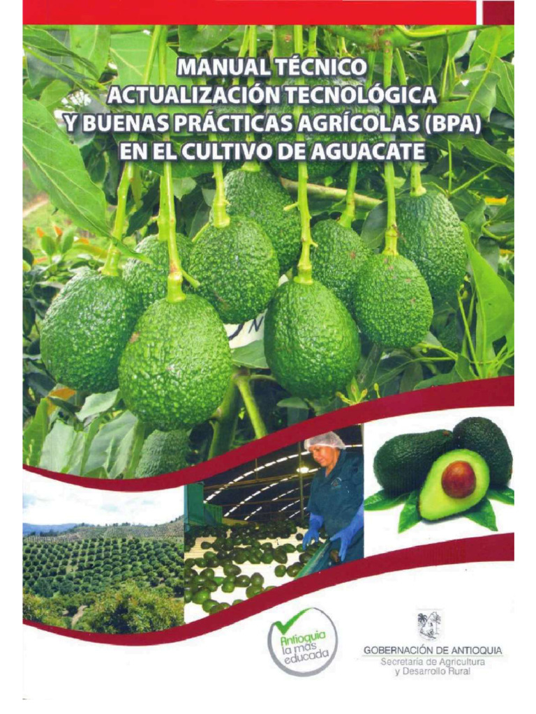 Manual Tecnico Actualizacion Tecnologica y BPA Cultivo de Aguacate | PDF