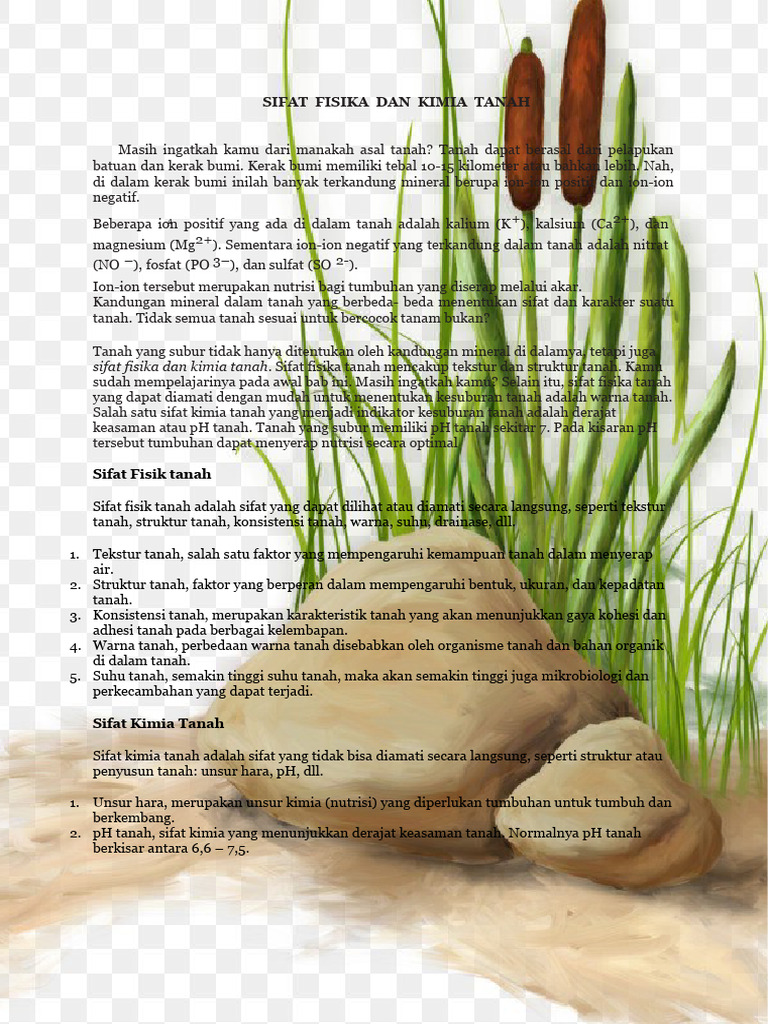 Sifat Fisika Dan Kimia Tanah | PDF
