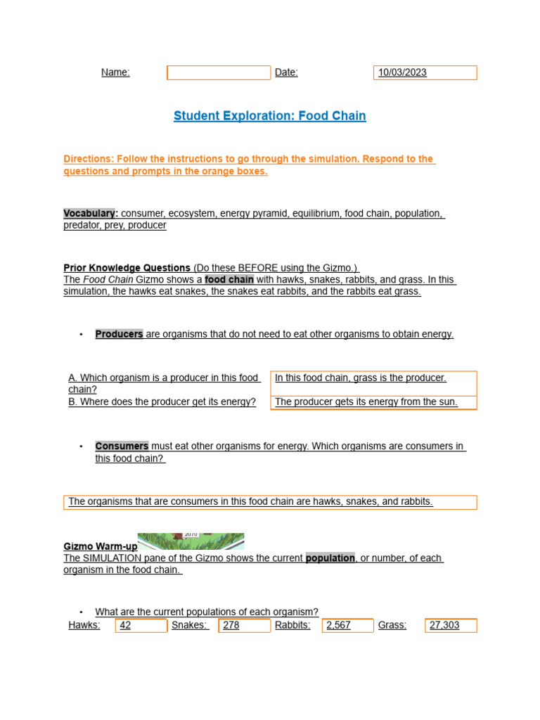 GIZMO- Food Chains | PDF | Predation | Foods