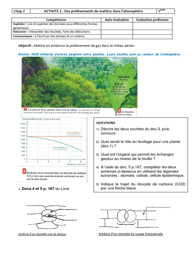 Activité 1 Du Chap7 2020 | PDF