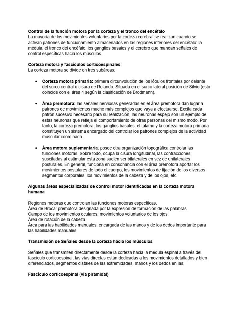 Control motor de la corteza y el tronco del encéfalo | Descargar gratis ...