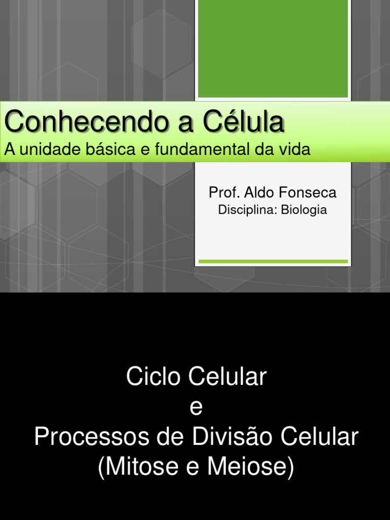 Citologia Ciclo Celular E Divisões Download Grátis Pdf Meiose Mitose