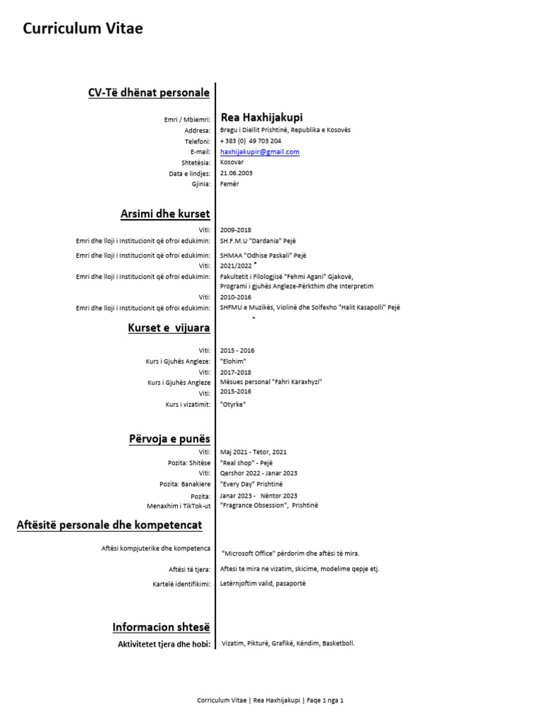 CV Diellza Nikqi | PDF