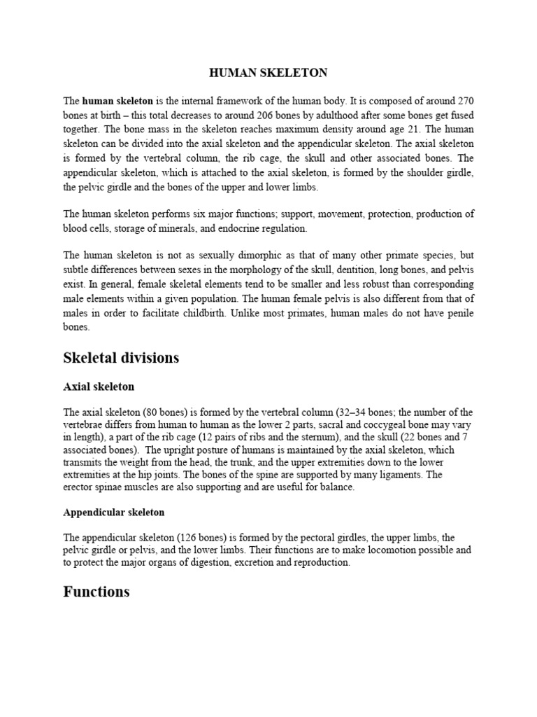 Paper II-Skeleton System | PDF | Skeletal System | Anatomy