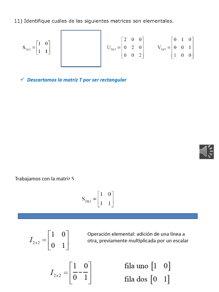 u1 Matrices Elementales | PDF