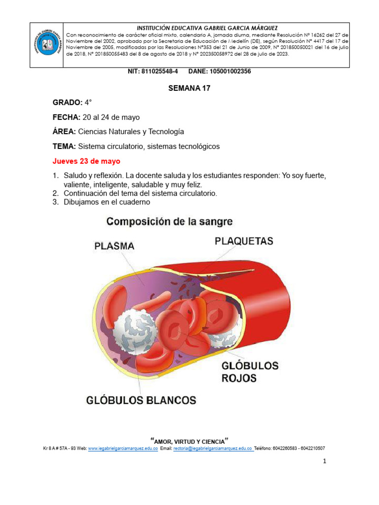 PLANEACIÓN SEMANA 17 CIENCIAS 4° | Descargar gratis PDF | Informática