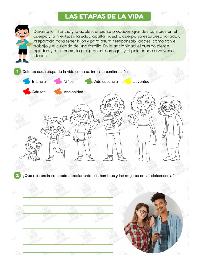 Ficha Etapas de La Vida | PDF