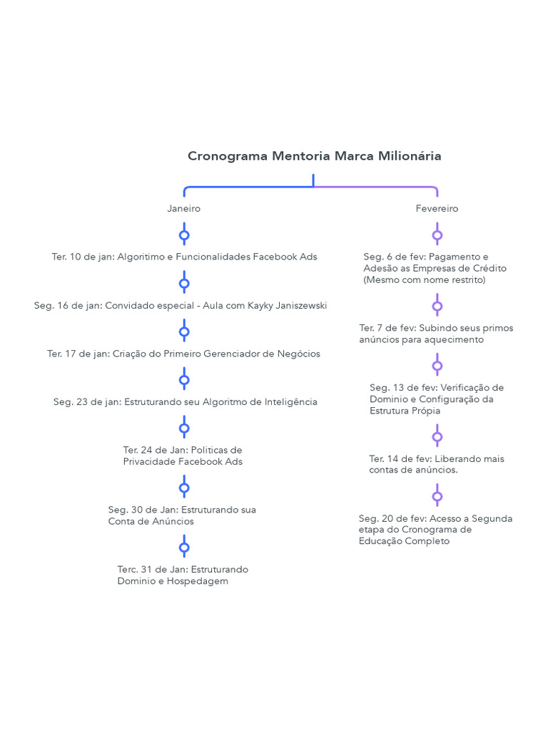 Cronograma Mentoria Marca Milionária | PDF | Facebook
