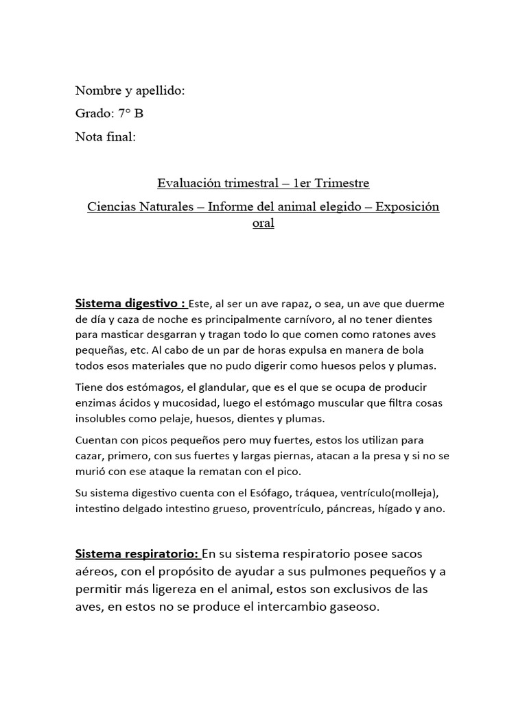 Anatomía y sistemas del búho | PDF | Pulmón | Sistema digestivo humano