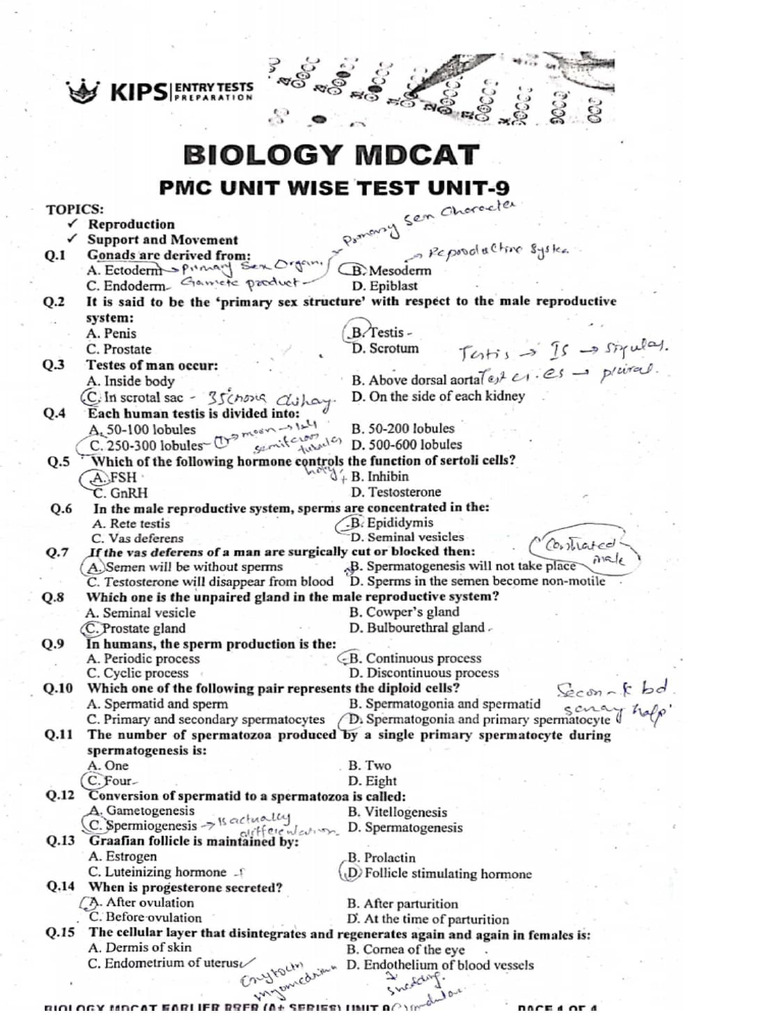 Unit 9 KIPS 2023 + Key | PDF