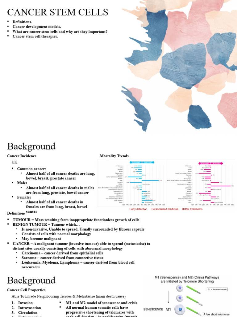 Understanding Cancer Stem Cells and Therapies | PDF | Cancer | Stem Cell