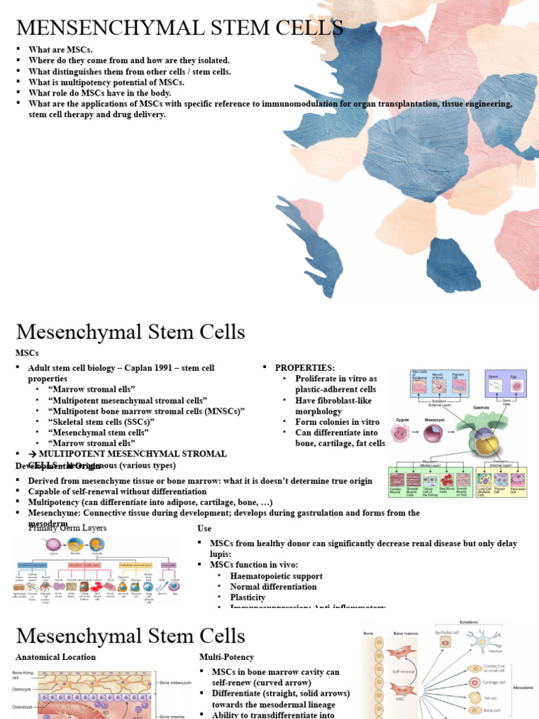 6.1 Mesenchymal Stem Cells | PDF | Mesenchymal Stem Cell | Stem Cell