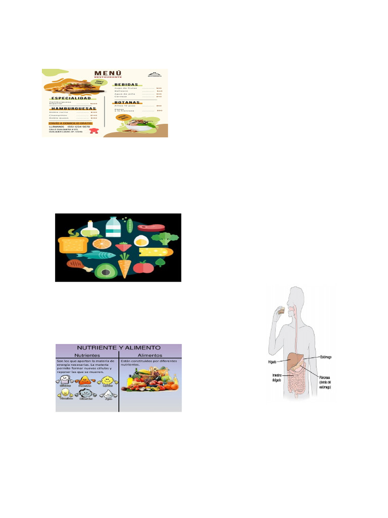 Print Adjuster | PDF