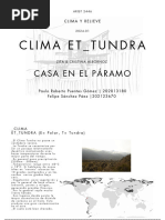 CARTA DE VALORES DE BHP | PDF | Riesgo | Valores