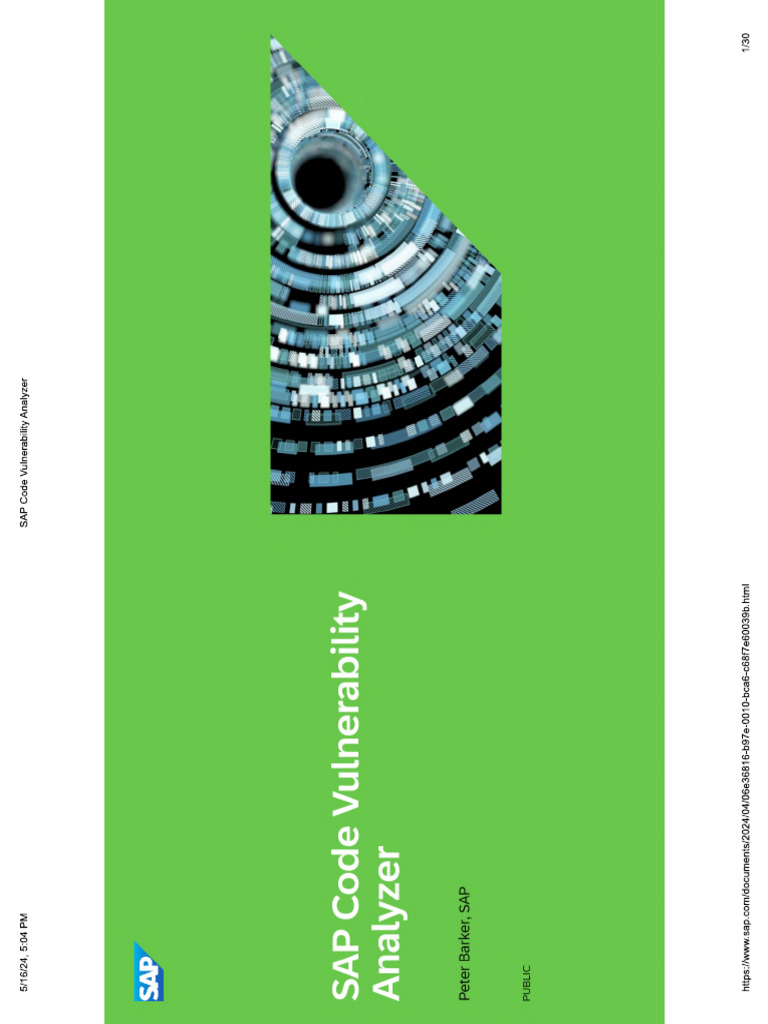 SAP Code Vulnerability Analyzer | PDF