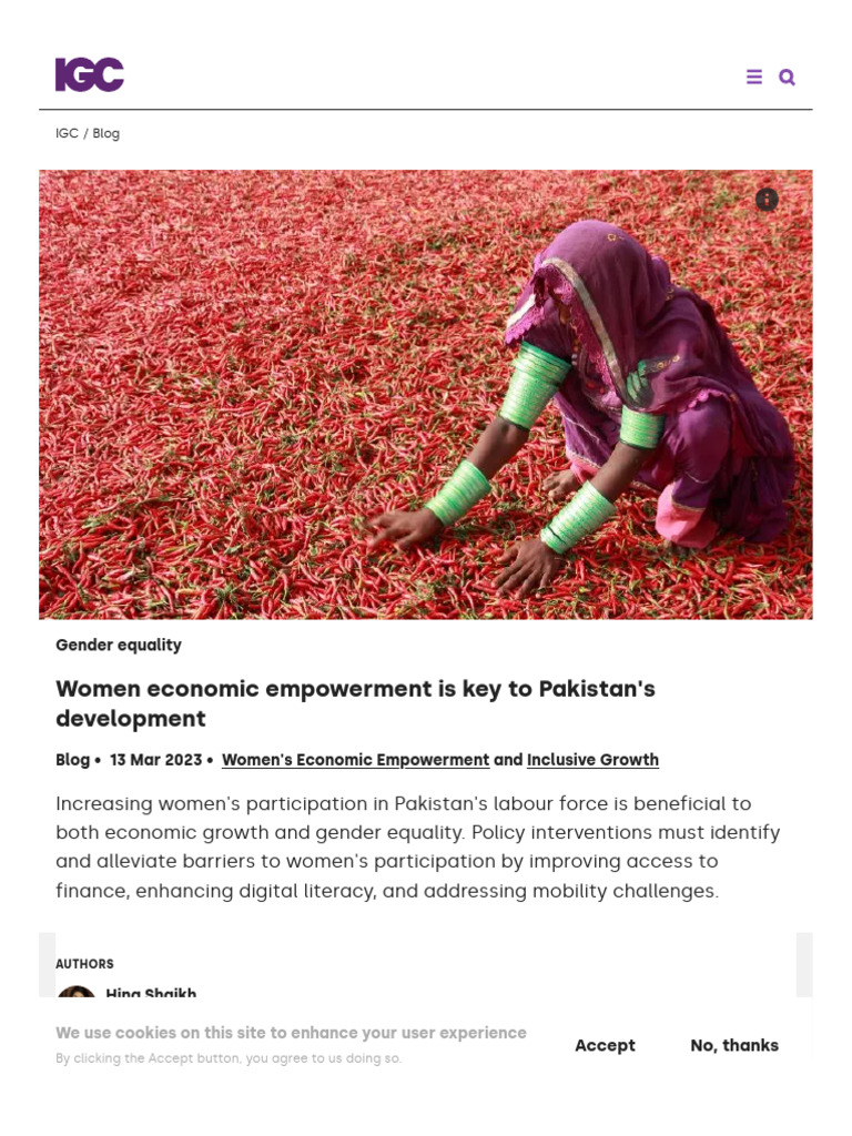 Women Economic Empowerment Is Key To Pakistan's Development ...