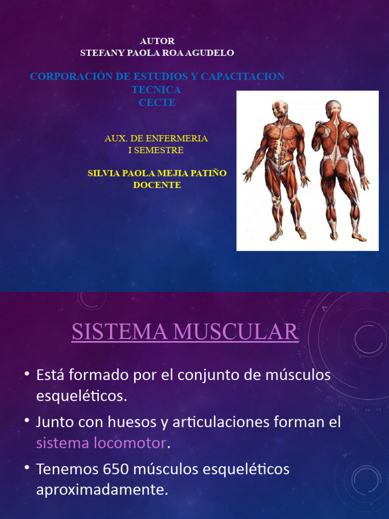 SISTEMA MUSCULAR - Potx | PDF | Músculo | Tejido conectivo