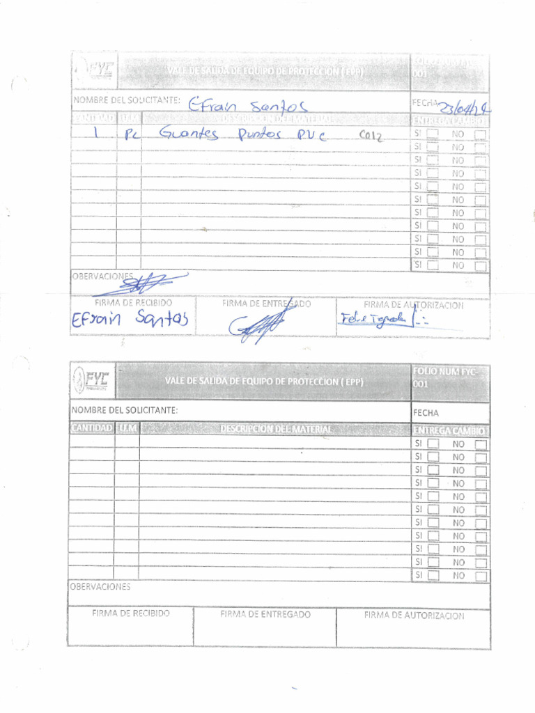 Vales de EPP FYC | PDF