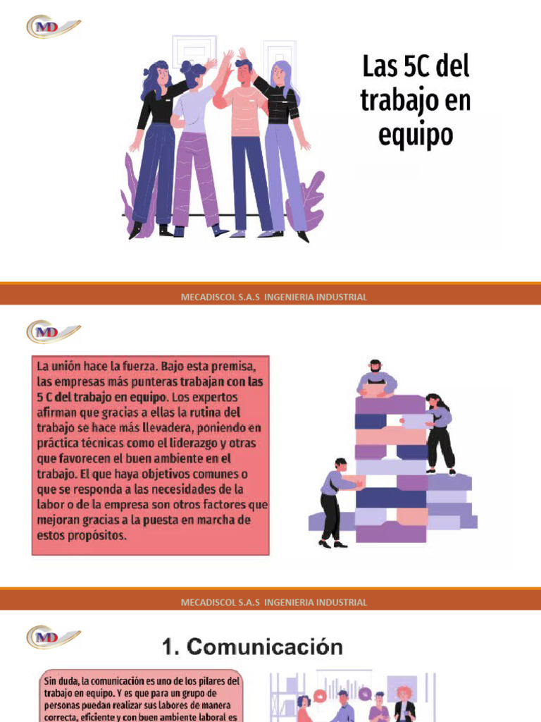 LAS 5 C DEL TRABAJO EN EQUIPO | PDF