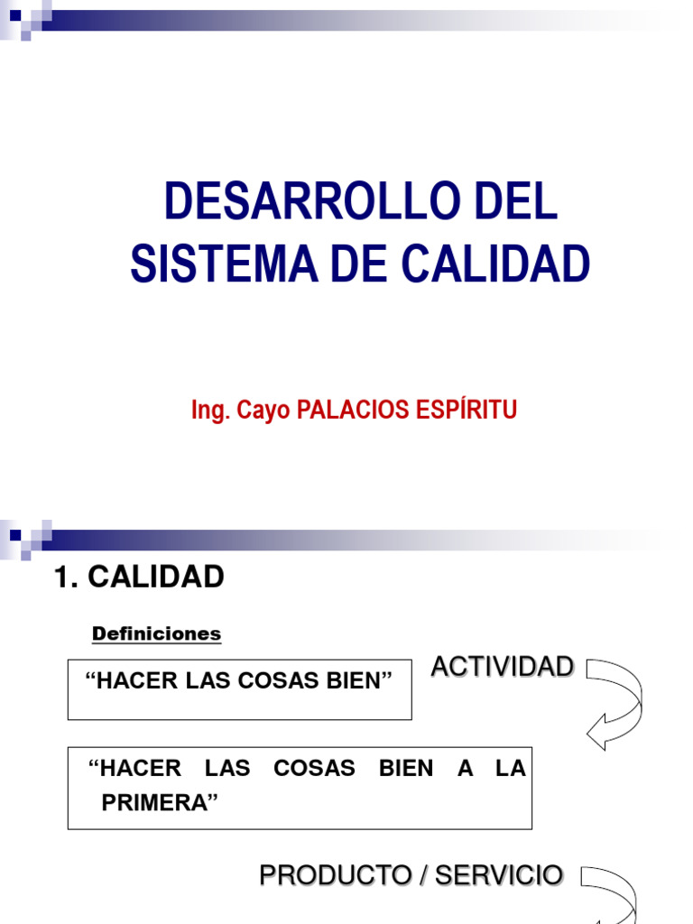 Desarrollo Del Sistema de Calidad | Descargar gratis PDF | Calidad (comercial) | Gestión de la ...