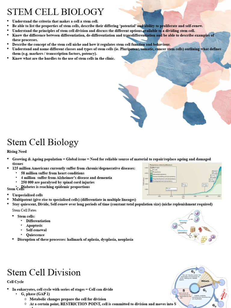 1.1 Stem Cell Biology | PDF | Stem Cell | Cellular Differentiation