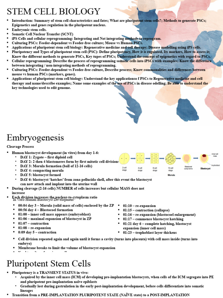 Understanding Pluripotent Stem Cells | PDF | Cell Potency | Stem Cell