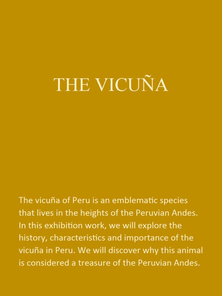 The Vicuña | PDF | Peru | Andes