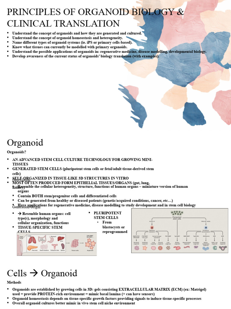 3.1 Principles of Organoid Biology & Clinical Translation | PDF | Stem ...